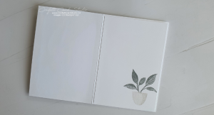 EASY DSP CARD LAYOUT - Confetti Card Studio